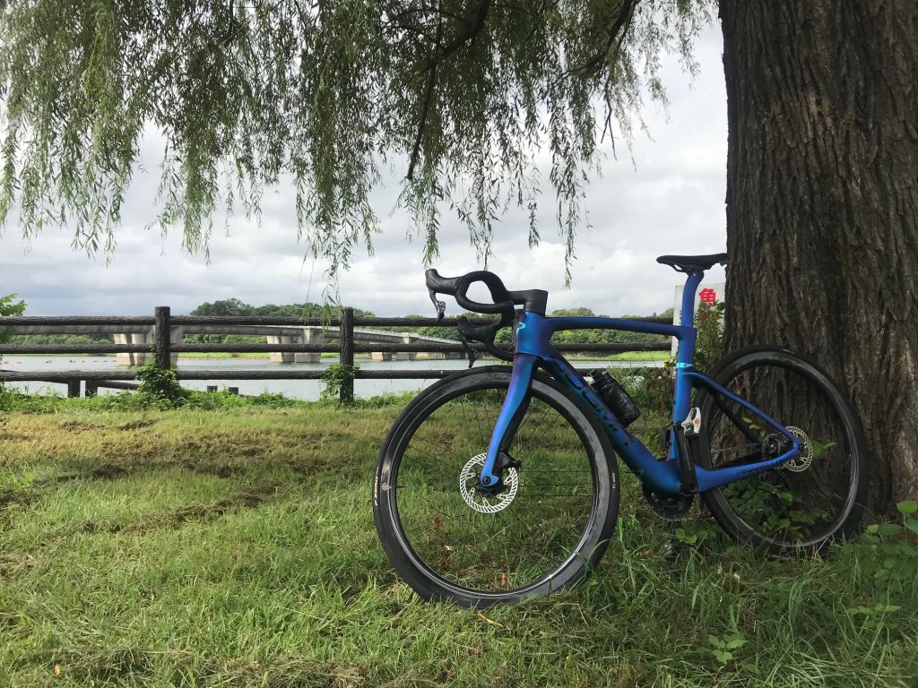 ピナレロ｜究極のコンペティションロード”Dogma F(ドグマ・エフ)”｜CYCLE PINE｜サイクルパイン[スポーツ自転車専門ショップ]